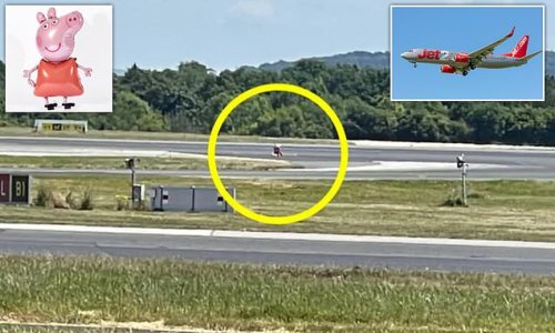 Hero pilot averts disaster by spotting Peppa Pig balloon floating ...