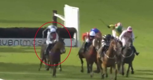 Horse banned from racing for 40 days over young jockey's controversial ...