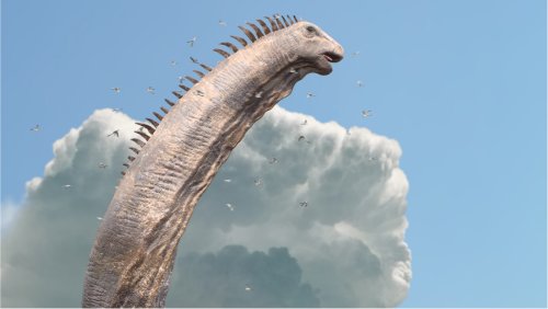 NBC Digs Up Dino Docuseries ‘Surviving Earth’ From ‘Walking With ... NBC Digs Up Dino Docuseries ‘Surviving Earth’ From ‘Walking With ...