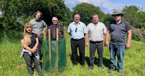 Masons help hospital conservation bloom with donation for orchard ...