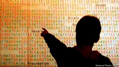 How the Human Genome Project revolutionised biology | Flipboard