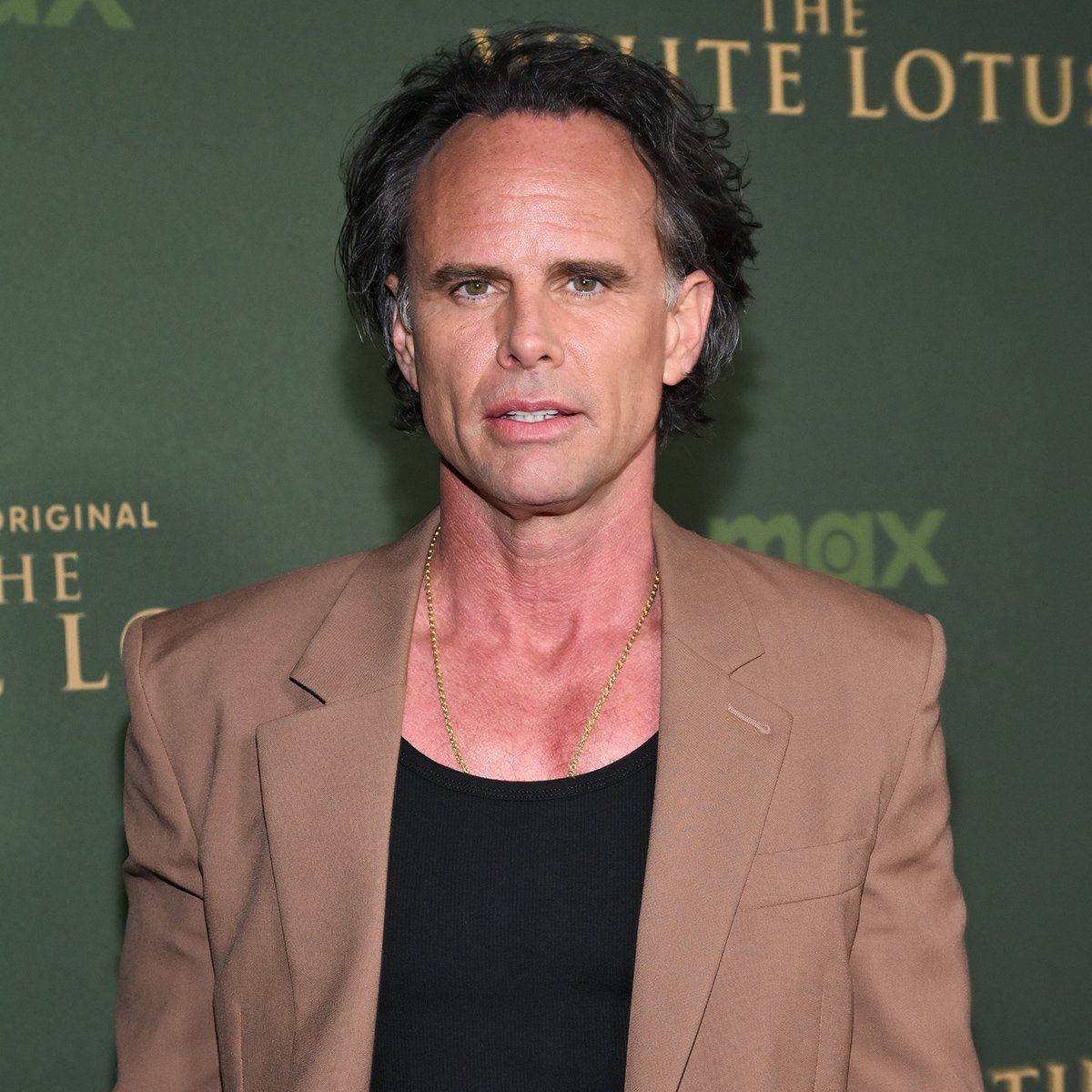 White Lotus' Walton Goggins Reflects on Wife Leanne Knight's Death by ...