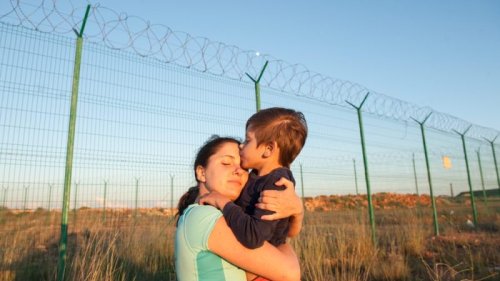 Dutch Cabinet On Life Support Over Family Reunification Rules For dutch-cabinet-on-life-support-over-family-reunification-rules-for