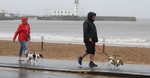Thunderstorms in Yorkshire live as heavy rain hits Sheffield with more ... Thunderstorms in Yorkshire live as heavy rain hits Sheffield with more ...