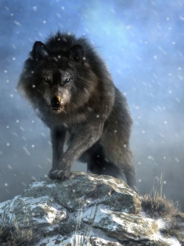 “Giant Wolf” Footage Re-Edited to Look Like New Encounter | Flipboard