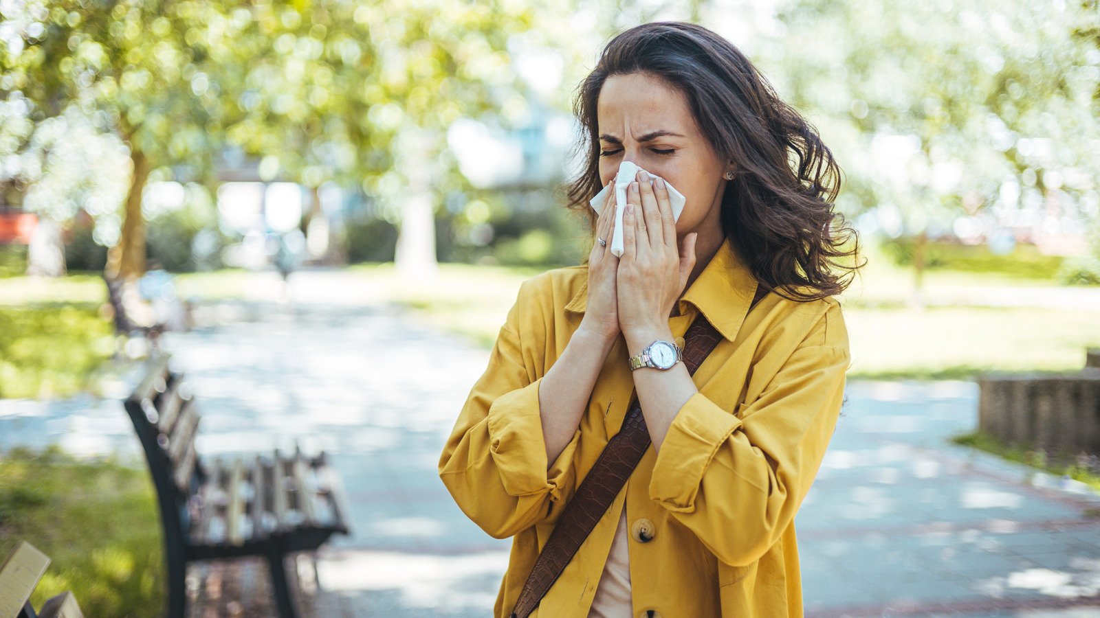 These American Behaviors Are Considered Extremely Rude In Japan | Flipboard