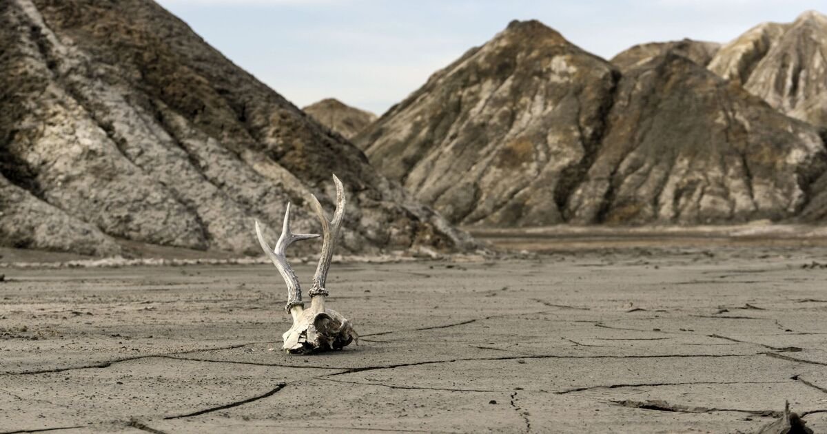 Think You’re Brave? These Dangerous Places Will Test You | Flipboard