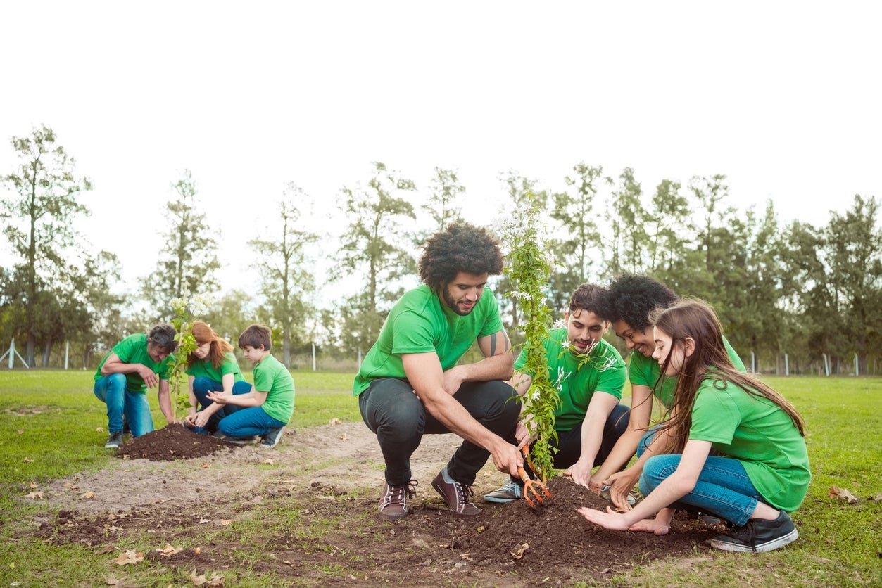 You're Probably Planting Trees Wrong—Here's How to Do it Responsibly ...