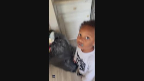 Hilarious Kid Denies Eating Cake Despite Damning Evidence on Face ...