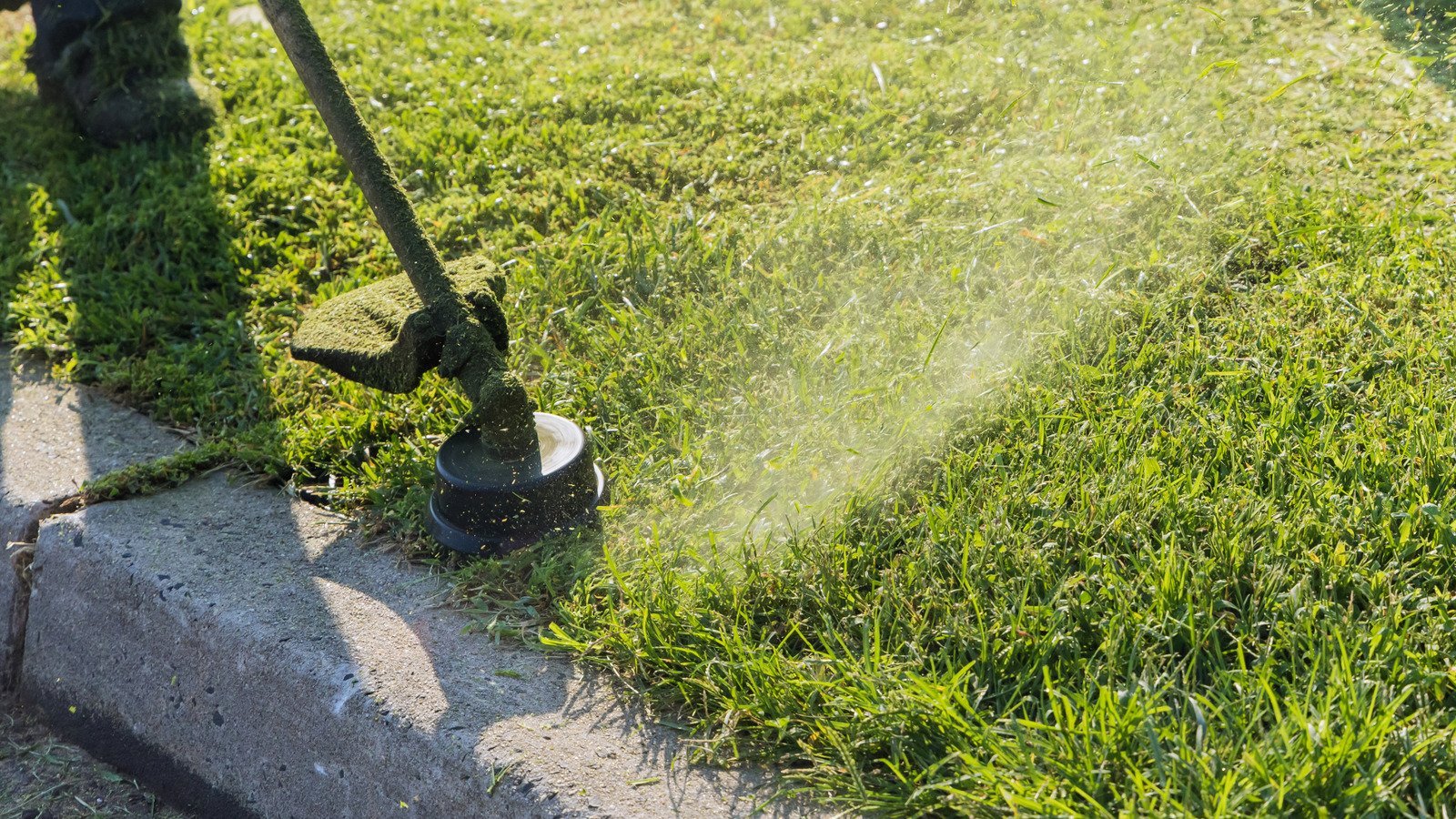 Weed eater hacks to try out in your yard | Flipboard