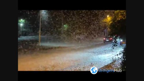 Japan: Mayfly Swarm Spotted In Sagamihara, Kanagawa | Flipboard