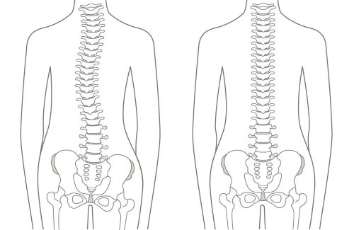Build an Unbreakable Spine With These 5 Moves That Beat Back Pain ...