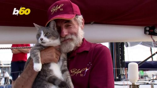 This Amazing Sailing Cat Is the Talk of This Yacht Race in Australia ...