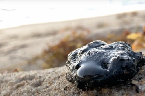 Horrifying 'tar balls' are washing up on Florida beaches | Flipboard