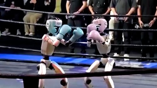 Watch: World’s first humanoid robot kickboxing tournament held in China ...