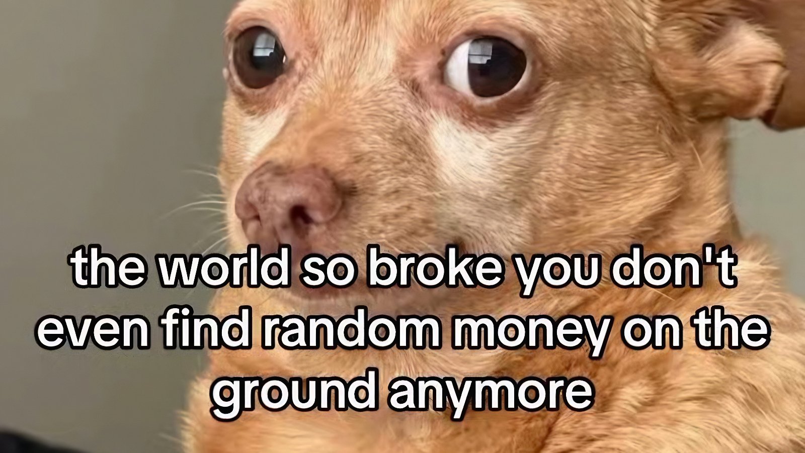 The 250+ goofiest memes of the week! | Flipboard