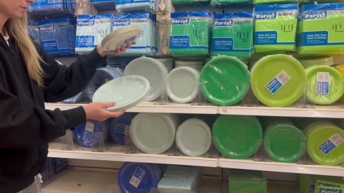 Everyone will be buying Dollar Store plates when they see this GENIUS ...