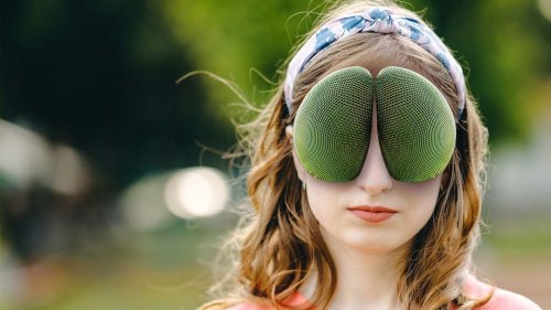 What If You Had Eyes Like a Fly? | Flipboard