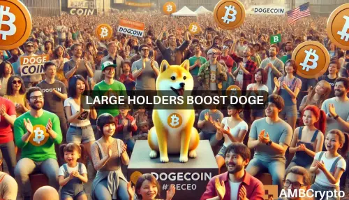 DOGE TESTS CRITICAL SUPPORT | Flipboard