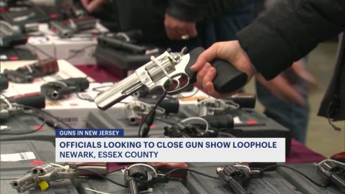Lawmakers, advocates push for tougher rules to close gun show ...