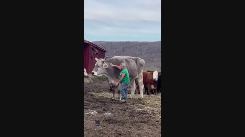 Man tells nephew to change out of 'inappropriate' water park outfit ...