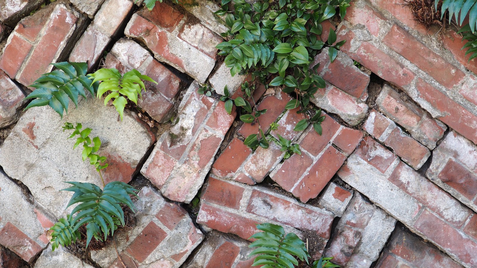 Creative ways to repurpose old household staples in your garden | Flipboard