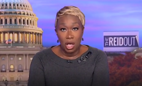Byron Donalds' wife taunts Joy Reid after viral interview: 'He kept ...