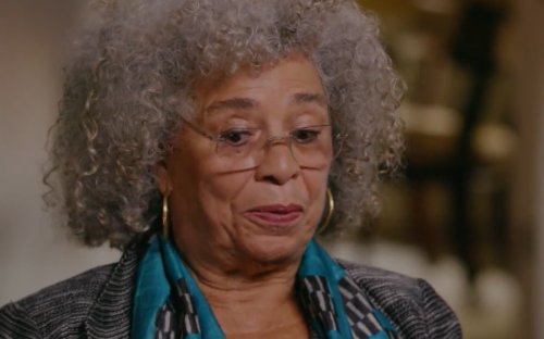 Former Black Panther Angela Davis shocked to learn she is a descendant ...