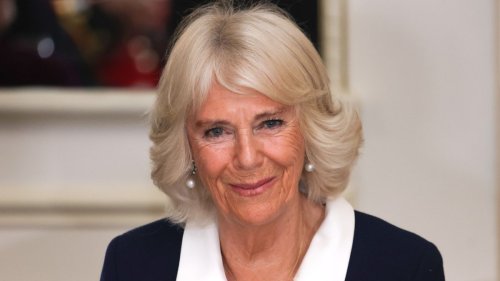 How Duchess Camilla Relies On Her Grandchildren To Help Move The Royal Family Into The Future how-duchess-camilla-relies-on-her-grandchildren-to-help-move-the-royal-family-into-the-future