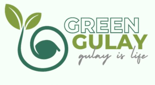 Meet the Filipino teen entrepreneur behind Green Gulay and his plan to ...