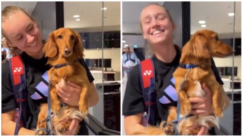 Elena Rybakina: Fans react to adorable clip of star with Daria Saville ...