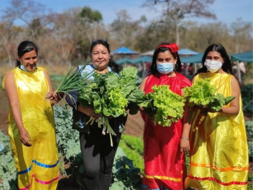 ‘Harvesting water’: Indigenous Bolivian women lead organic farming ...