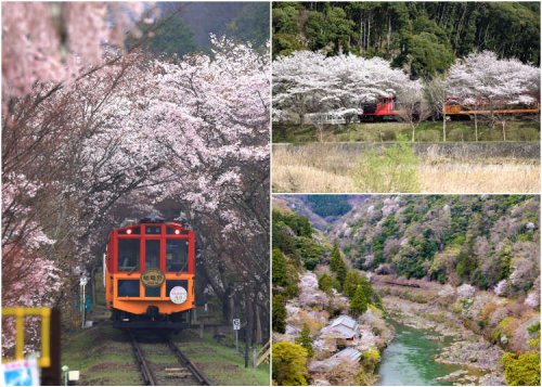 All Aboard the Sagano Romantic Train: 2023 Guide to Kyoto's Famous ...