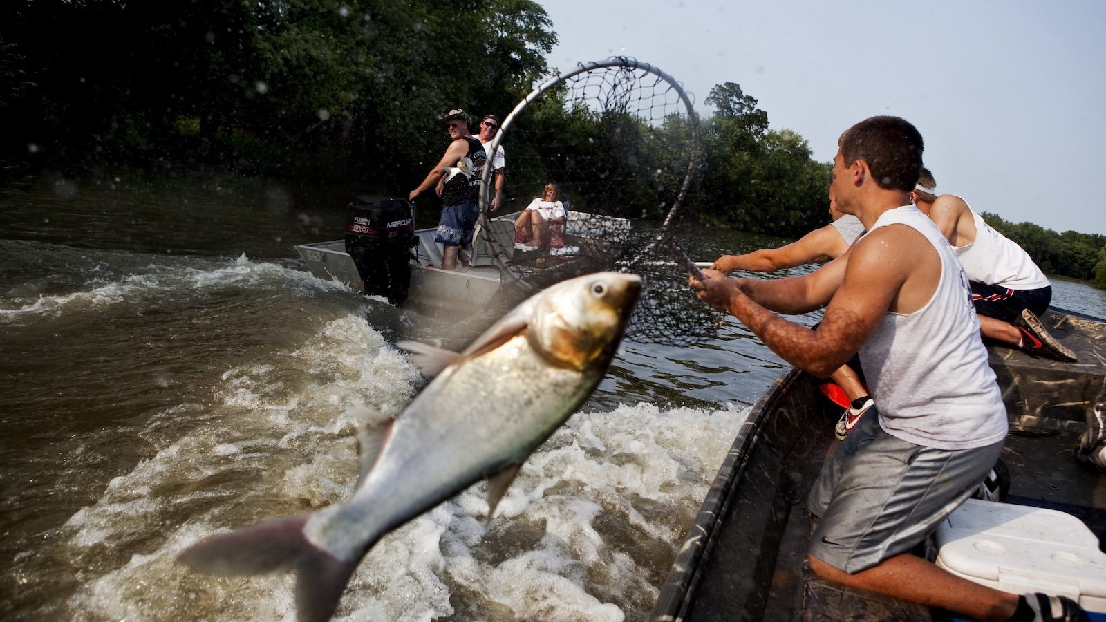 Illinois must protect the Great Lakes from invasive carp. A toxic mess ...