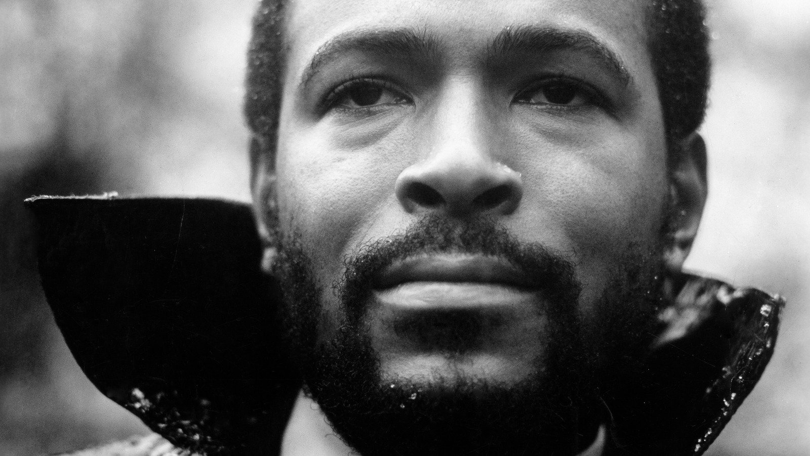 Marvin Gaye's Disturbing Last Words Before He Died | Flipboard