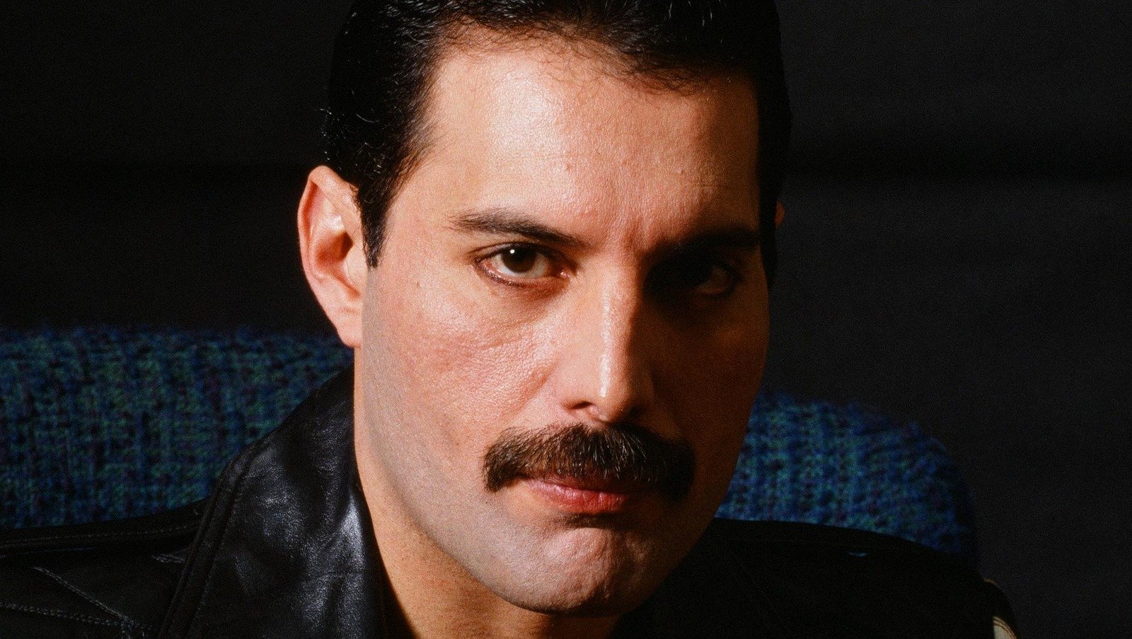 Things We Learned About Freddie Mercury After He Died Flipboard