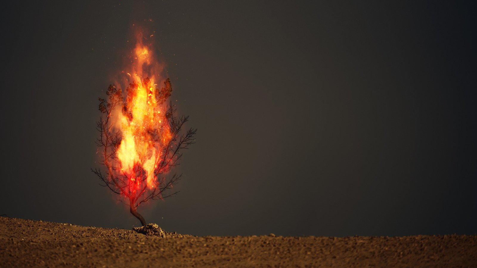 The Bible's Burning Bush Explained | Flipboard