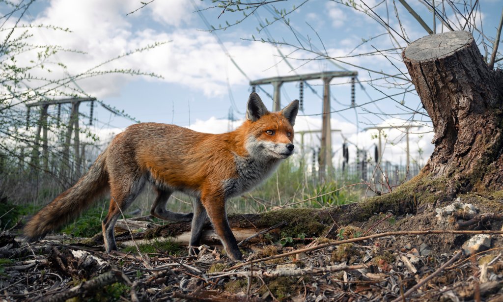 Vicki Dee Rock (@rocksinla) on Flipboard