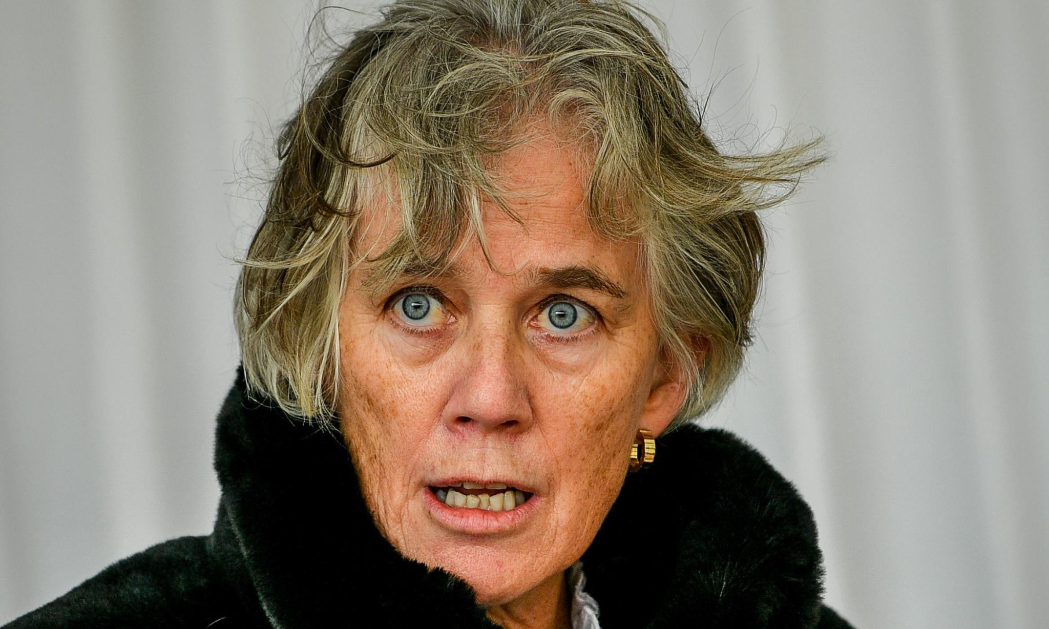 Dame Angela McLean to be Britain's first female Chief Scientific ...