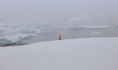 Cold People by Tom Rob Smith review – a chilling vision of a new ...