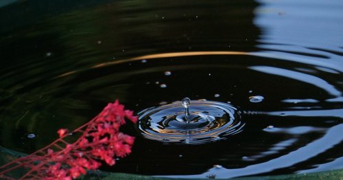 Is It Illegal To Collect Rainwater What You Should Know Before Setting Up Your Rain Barrels is-it-illegal-to-collect-rainwater-what-you-should-know-before-setting-up-your-rain-barrels