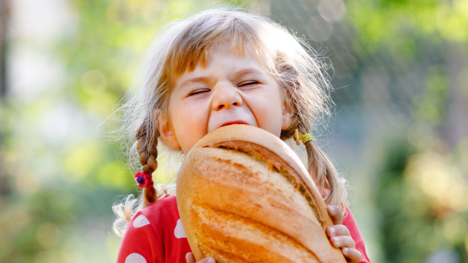 What Happens To Your Body When You Eat Sourdough Bread | Flipboard