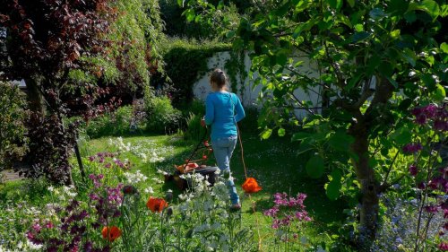 'No Mow' May is over - gardeners urged to follow surprising rules for ...