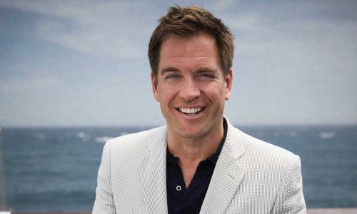NCIS star Michael Weatherly shares rare photo of son during jaw ...