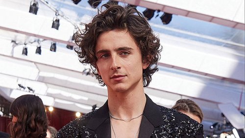 Timothee Chalamet Goes Shirtless For Cute Selfie As He Celebrated End ...