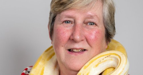 Woman With Lifelong Fear Of Snakes Connects With Python After Death Of woman-with-lifelong-fear-of-snakes-connects-with-python-after-death-of