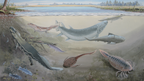 Giant New Species Of Extinct Predatory Fish Was The Length Of Five ...