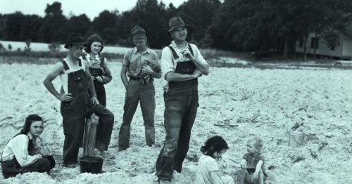 Where does the term redneck come from? | Flipboard