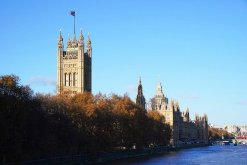 Mps Accused Of Using Parliamentary Trips Abroad For Sex Tourism Flipboard