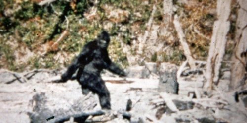 AI has revealed what infamous 'Bigfoot' footage truly is | Flipboard